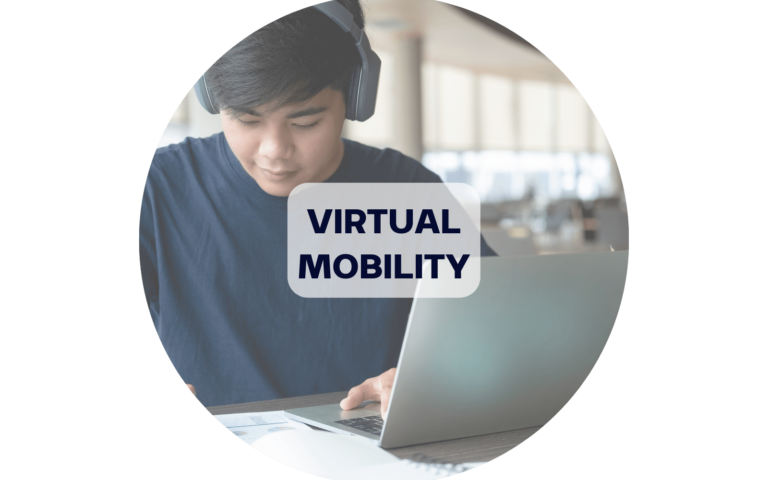 The EMPM Virtual Mobility Platform